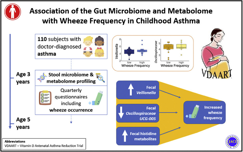 Gut microbiome & wheeze frequency in childhood asthma