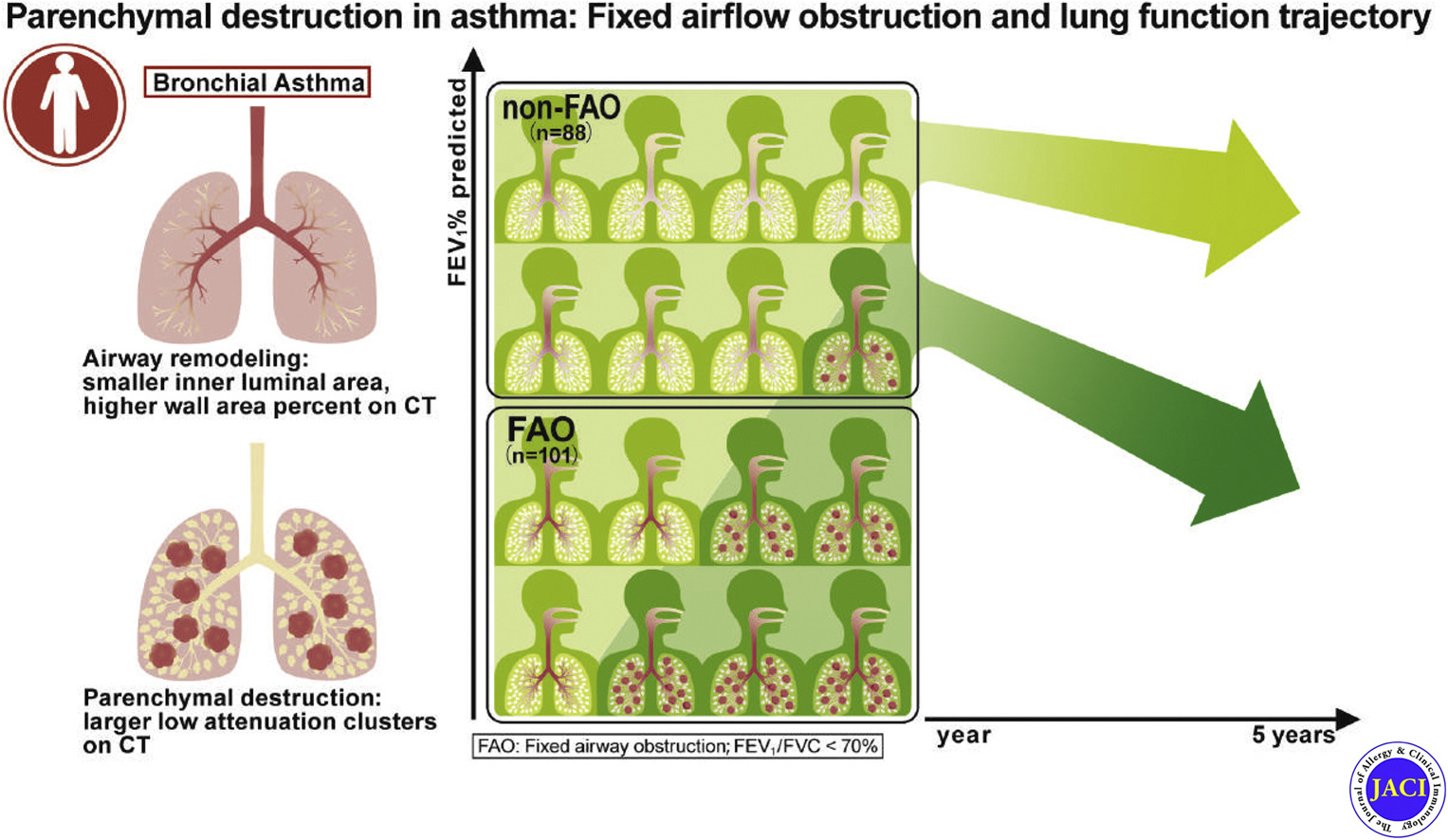 Parenchymal destruction on CT and impaired lung function
