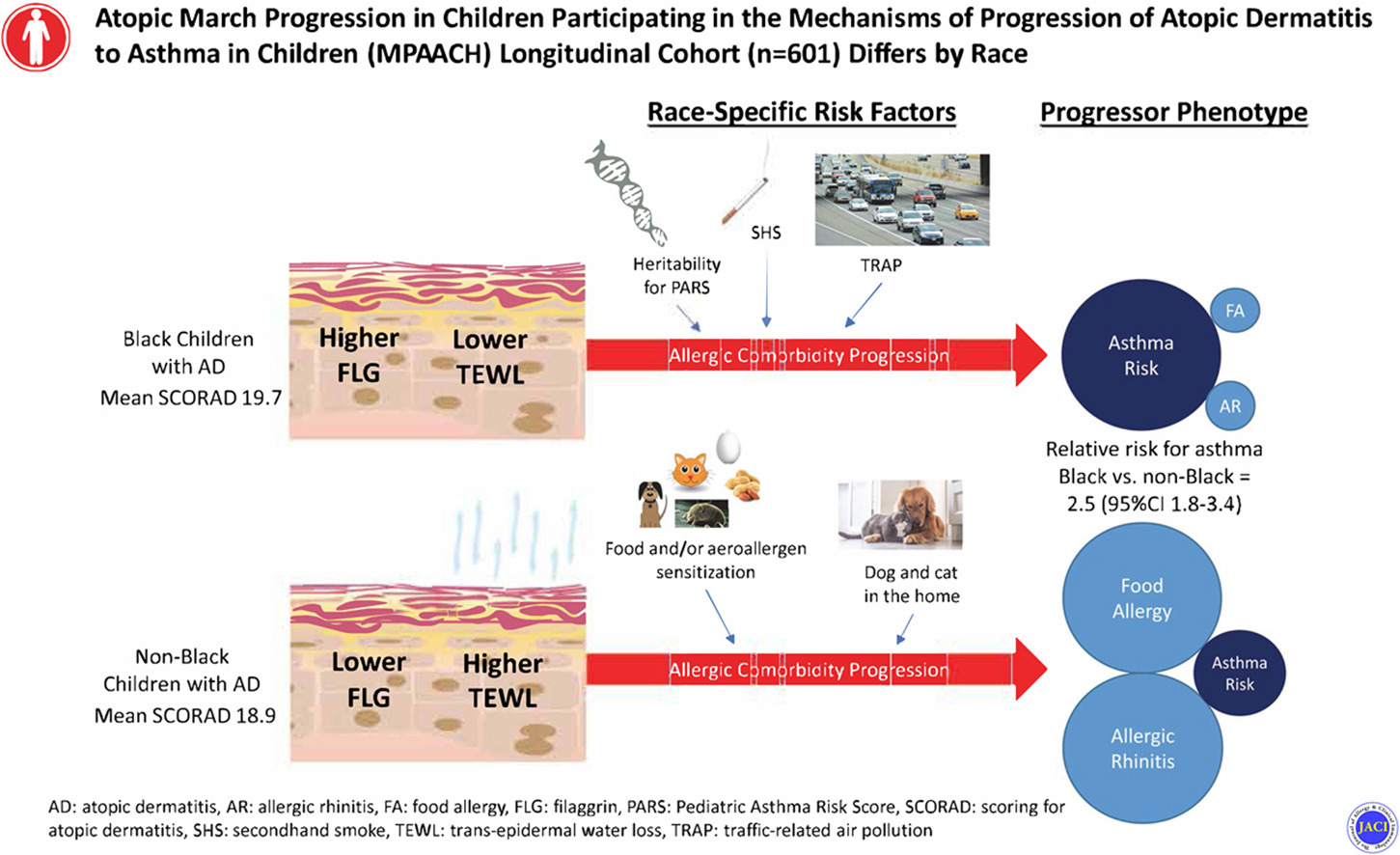 A new paradigm for the Atopic March