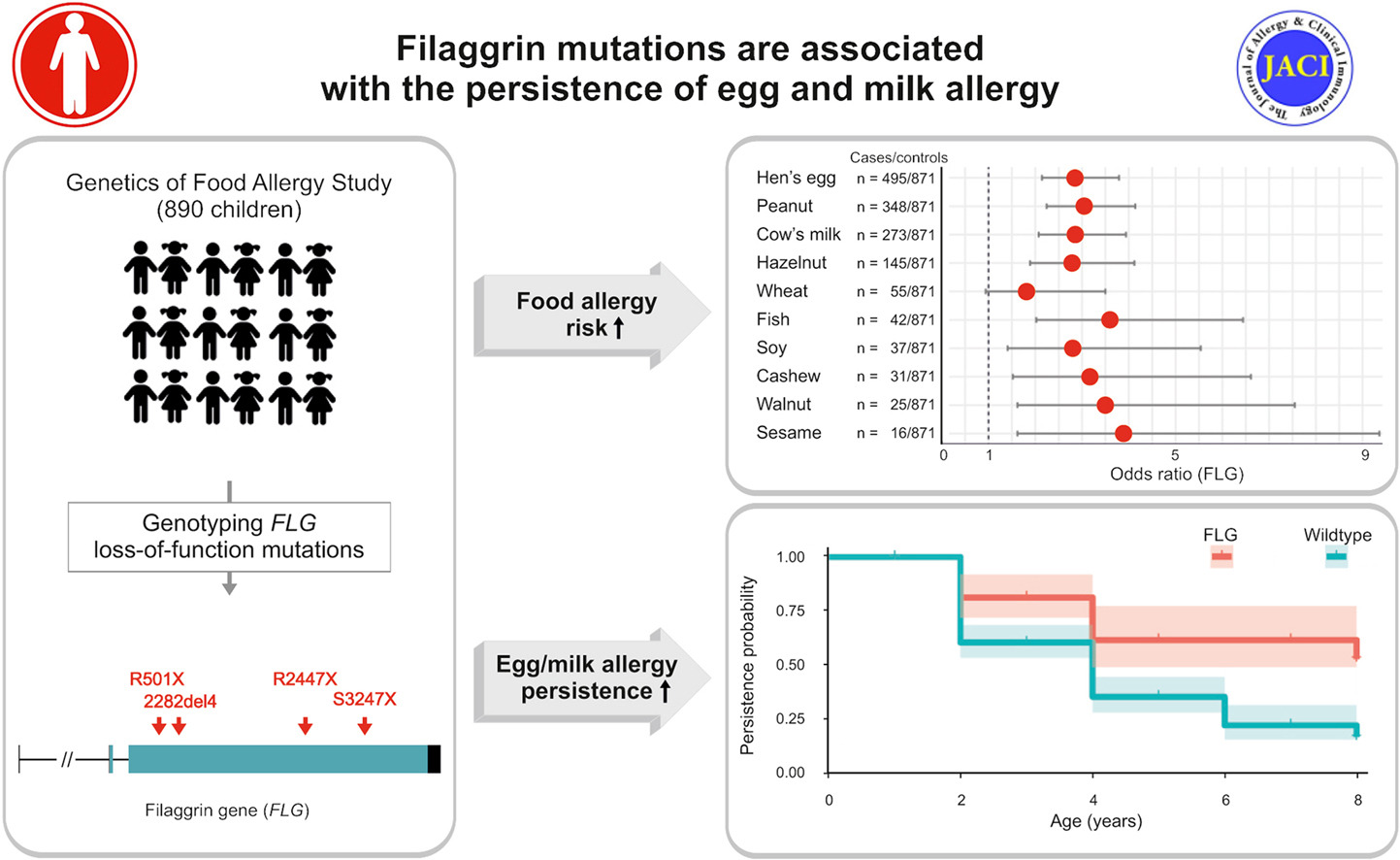 Filaggrin mutations & egg and milk allergy
